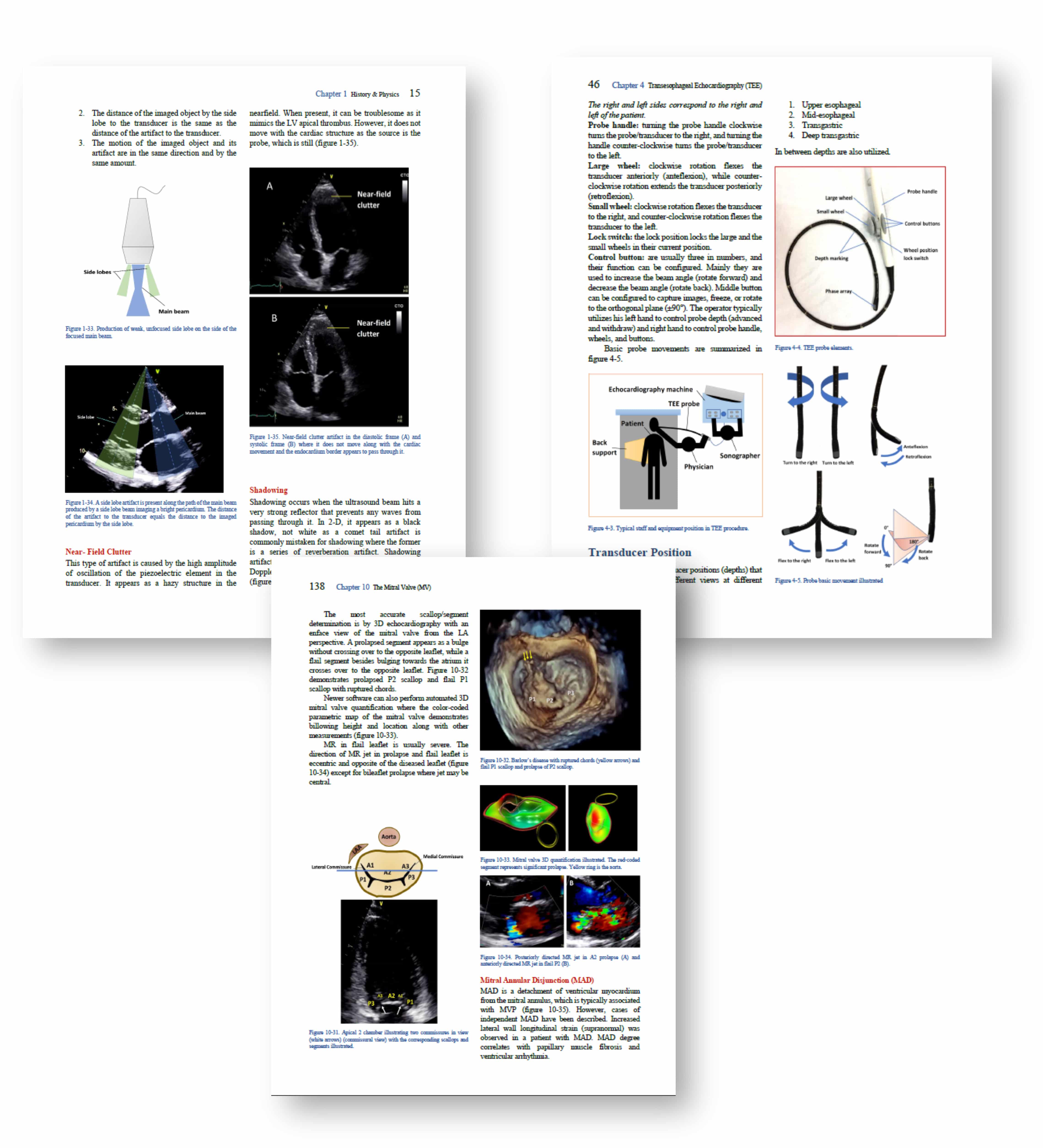 THE BOOK OF ECHO - Dr. Ghazal